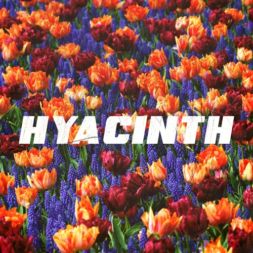 Stream Storm Goring | Listen to Hyacinth playlist online for free on ...