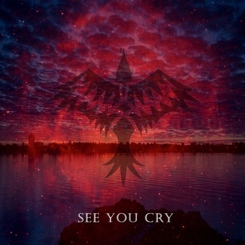 Stream See You Cry Ft Peyton Morete by DJ ADRONX | Listen online for ...