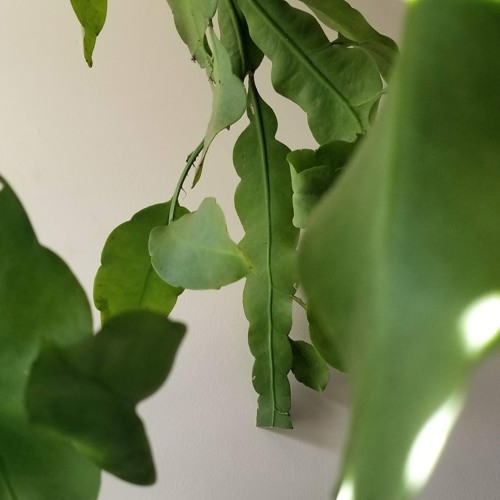 Stream Sterling Duns & Aqeel Aadam | Listen to Six Hours playlist ...