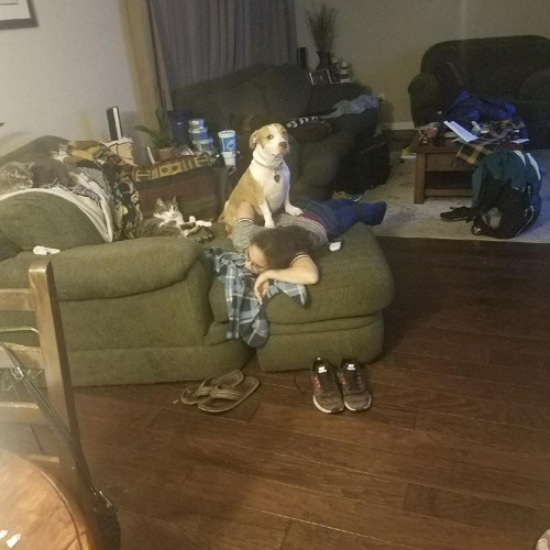 Stream Sonic unleashed - chun-nan hub world (night) by rocksonic13 ...