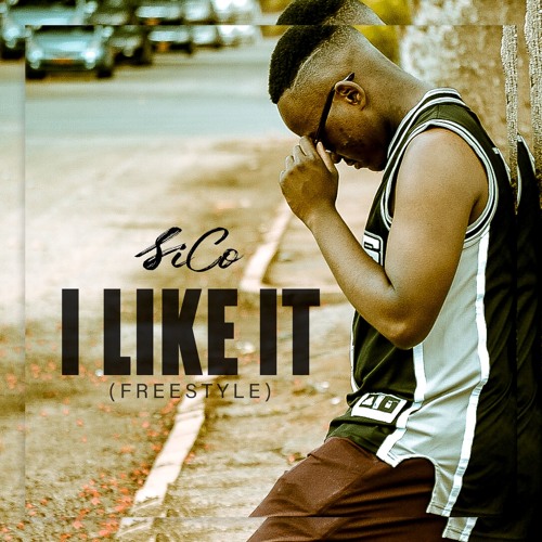 Stream I LIKE IT (FREESTYLE) by SiCo | Listen online for free on SoundCloud