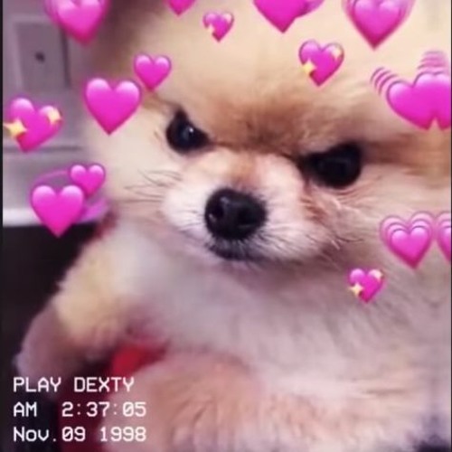 Stream kejej iisei | Listen to meme music playlist online for free on ...