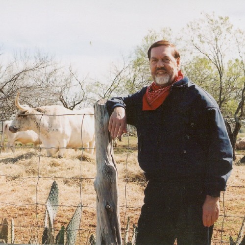 Stream Since I Met You Baby by Ward Morrill | Listen online for free on ...