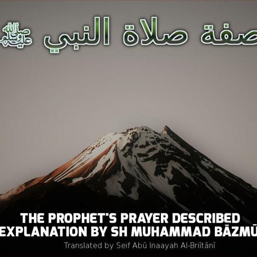 Stream 5. Prophet's (ﷺ) Prayer Described - Praying On Transport ...