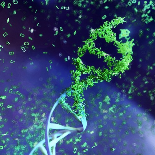 Stream Time Ripper by Forbidden Geometry | Listen online for free on ...