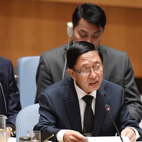 Stream Interview with Hau Do Suan, Permanent Representative of the ...