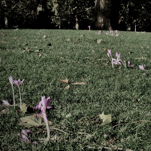 Stream Working Title by Austin Mistretta | Listen online for free on ...