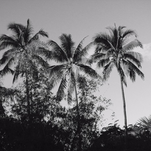 Stream The dragster wave by Koma Kino | Listen online for free on ...