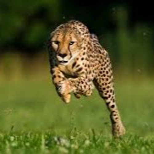 Stream Ben Loftus | Listen to MIX playlist online for free on SoundCloud