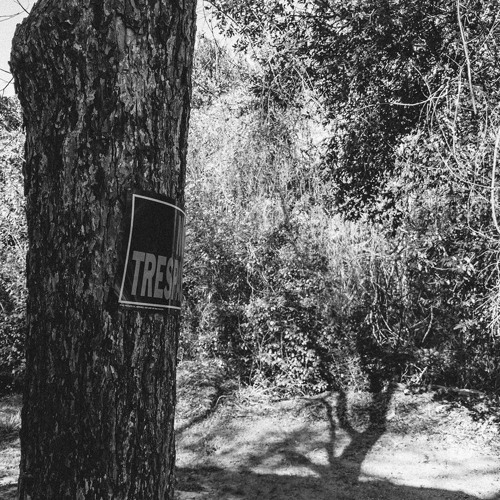 Stream episode Lynching of Jim Toler by Project McRae podcast | Listen ...