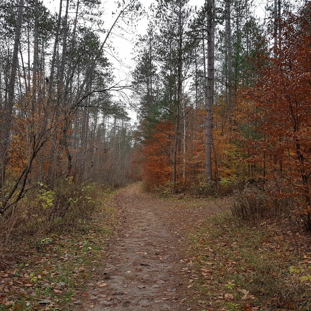 Stream Fit To Eat Episode 10 Nathan Dennis and Melvin Rideout by Ivan ...