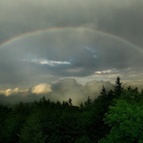 Stream Dreamer (unfinished v2) by LVNCE | Listen online for free on ...