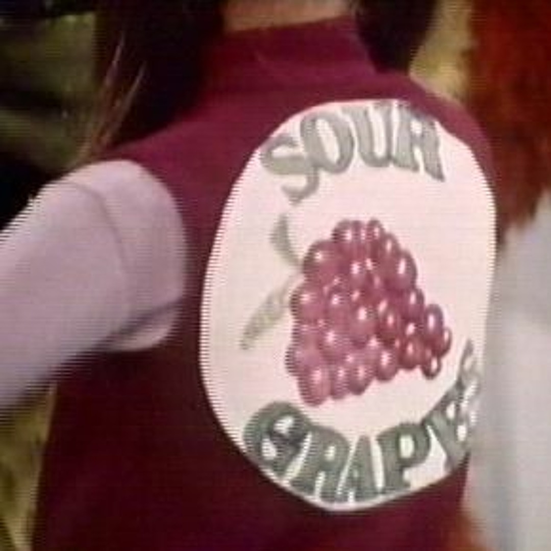 Stream The Banana Splits - The Sour Grape Bunch Theme by 1974 studios ...