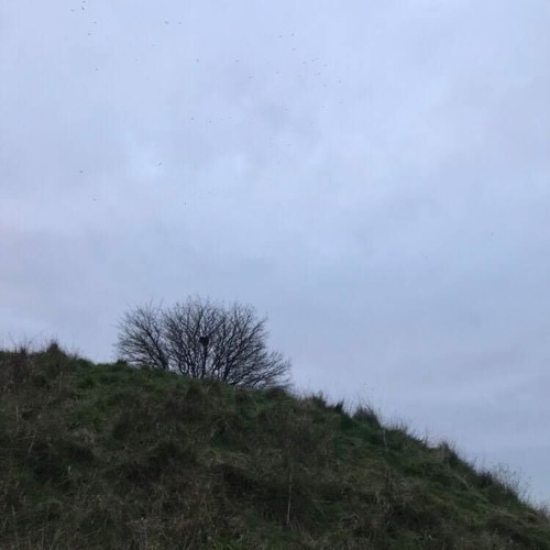 Stream FLAGS OF LOVE by hen.hm | Listen online for free on SoundCloud