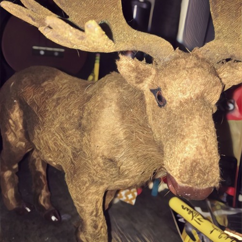 Stream Broken Leg Moose by Upset Cephalapod Colony | Listen online for ...