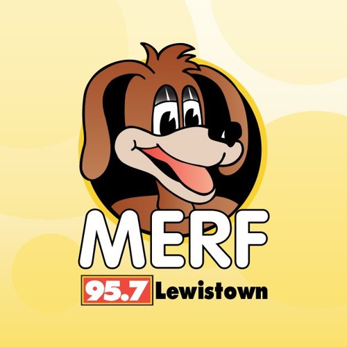 Stream Heather Zehr update - 1/15/2019 by Merf Radio | Listen online ...