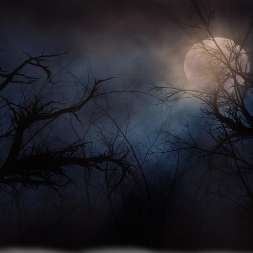 Stream The Last Shanty - Celtic Connection (With GBS) - Lyrics , by ...