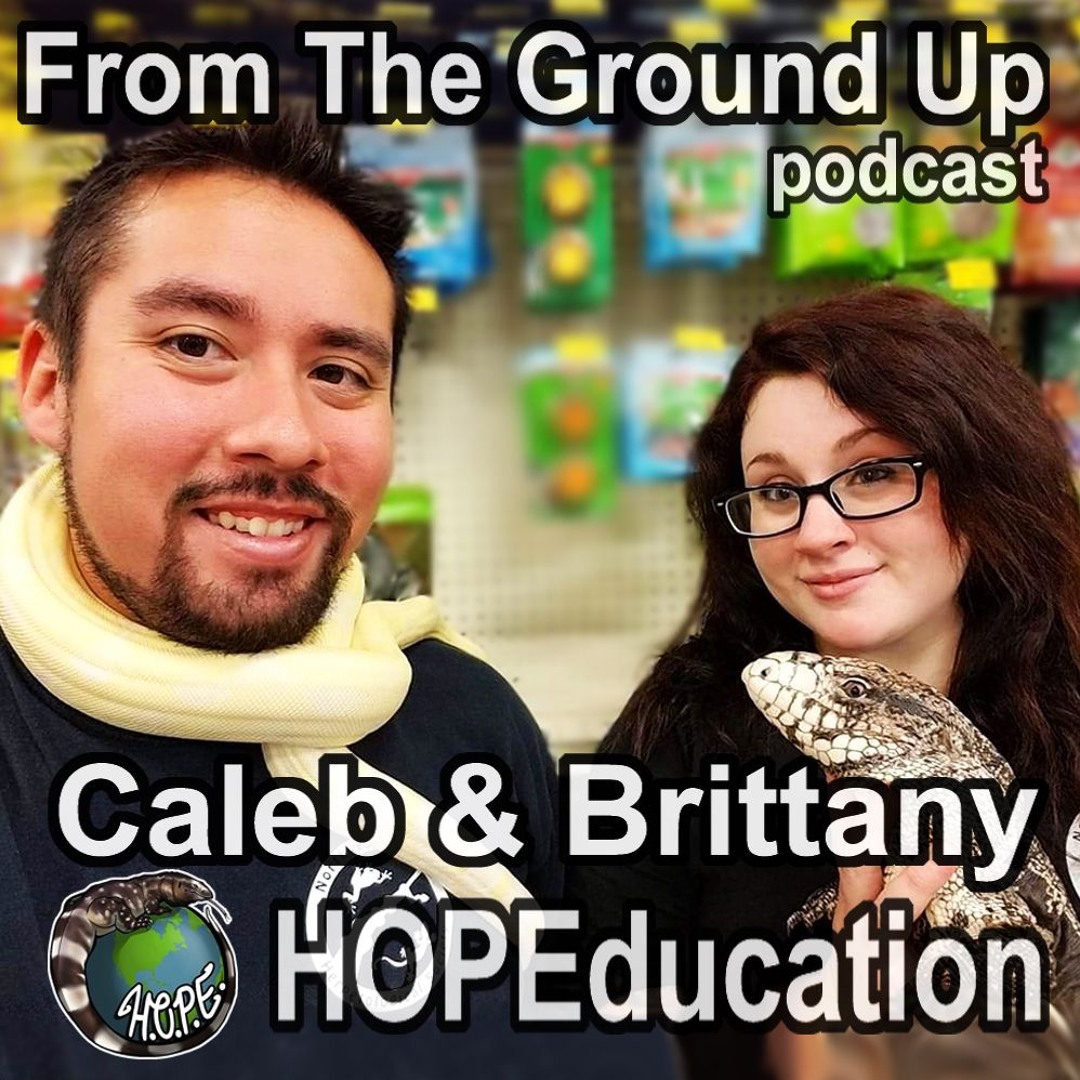 Stream Episode Monitor Keeping And Education With Brittany Caleb From