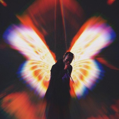 Angel Travis Scott