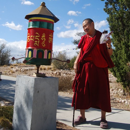 Stream Crimson Flower of the Desert by Mihai Popean | Listen online for ...