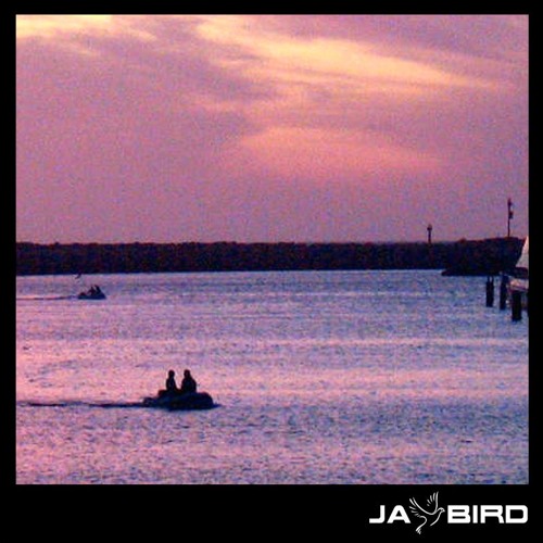 Stream Hold On (feat. Clay Agnew) by Jay Bird | Listen online for free ...