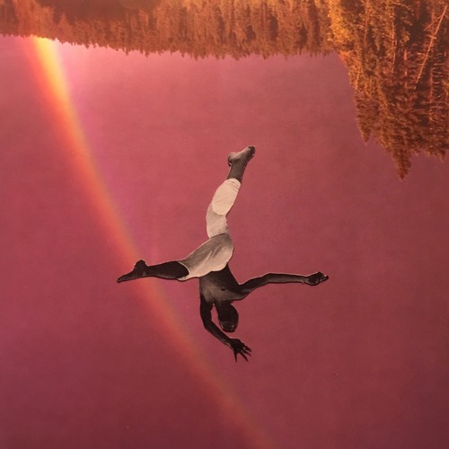 Stream Shrimpnose & K.Raydio - Cabernet by shrimpnose 🍤 👃 | Listen ...