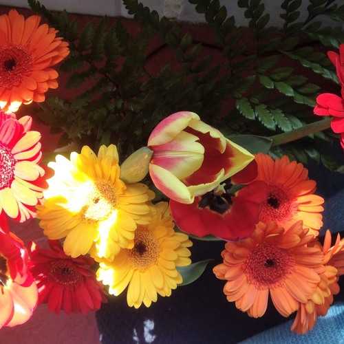 Stream Jaya Sengupta | Listen to NVC 1 Grounding & Needs Meditation ...