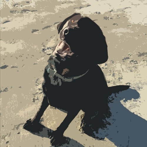 Stream DOUBLE BLVCK DIVMOND VI OFFICIAL by Haphazardous | Listen online ...