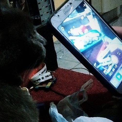 Stream Ella Xvxn Ft SXL W NxMoB by Mercurio_VHS | Listen online for ...