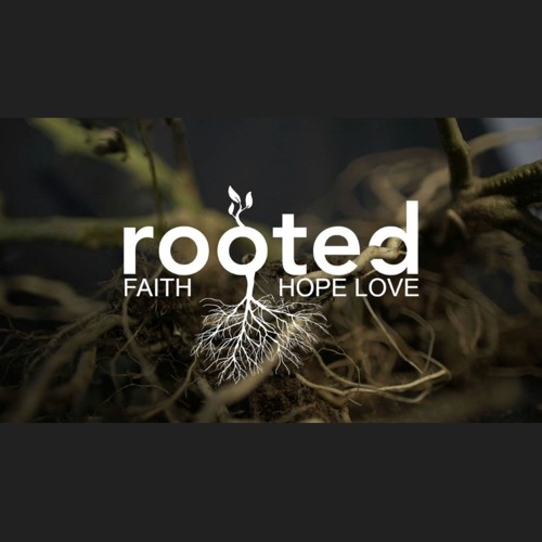 Stream Rooted: Rooted in Love by Onalaska Church of Christ | Listen ...