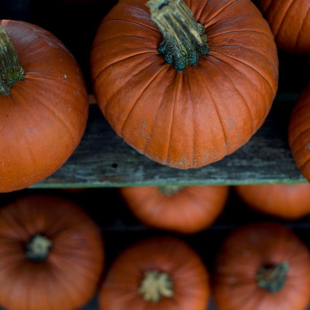 Stream Simple by Florida Georgia Line by Faith Aiudi Upjohn | Listen ...