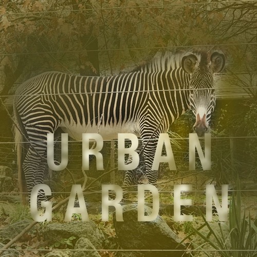 Stream Urban Garden by Albert Henriques | Listen online for free on ...
