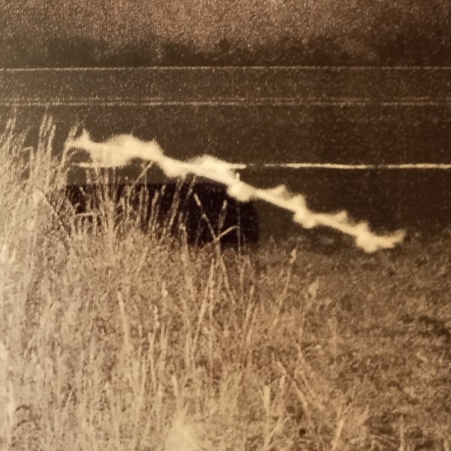 Stream Voice over paul dunkel language by lee ling | Listen online for ...