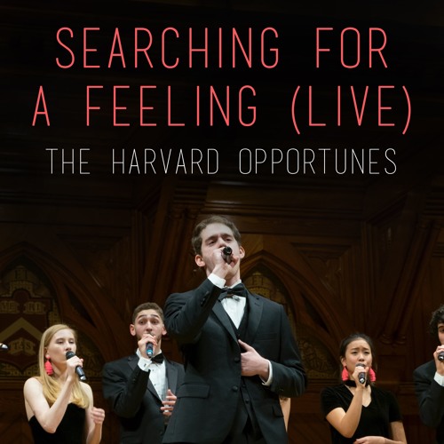 Stream Searching For A Feeling (Live) by The Harvard Opportunes ...