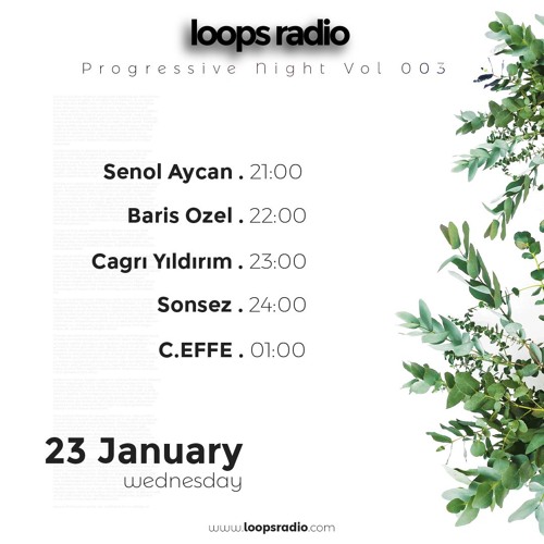 Stream Baris Ozel - Progressive House Energy Set 003 Loops Radio by Loops Radio | Listen online ...