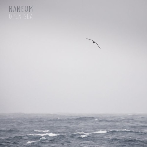 Stream "Accretion" by Naneum by bedfordandbowery | Listen online for ...