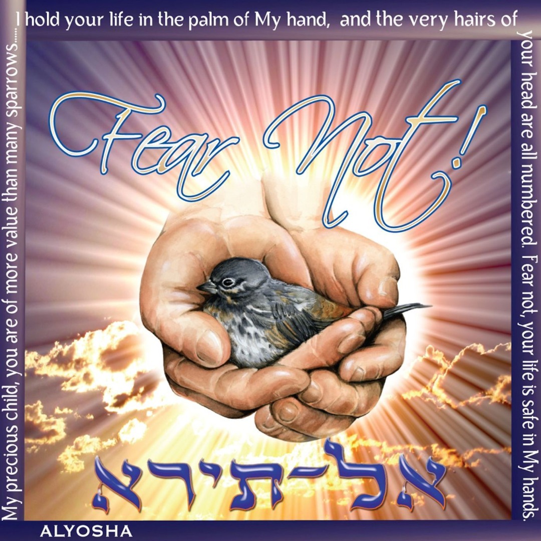 Stream Song of Israel | Listen to Fear Not! // Alyosha Ryabinov ...