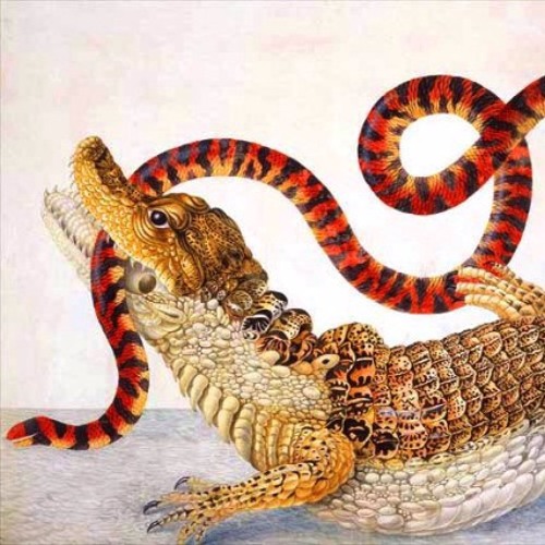 Stream GATORvsSNAKE by VΔ₡Δ₮IØ₪ | Listen online for free on SoundCloud