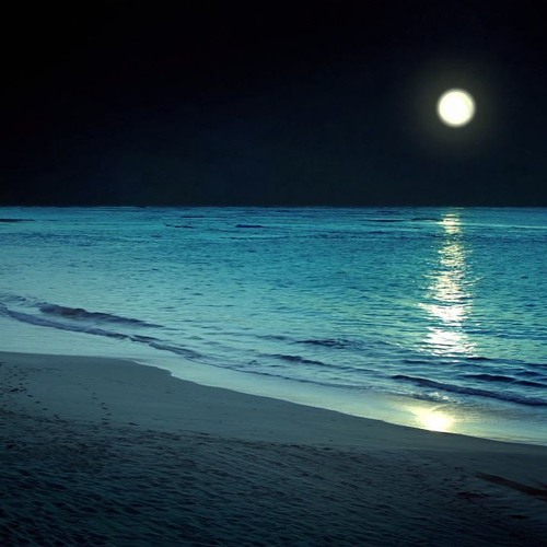 Beach Night Time