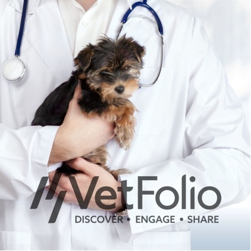 Stream Onsior® (robenacoxib) injection by VetFolio | Listen online for ...