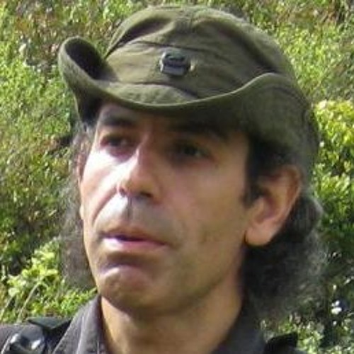 Stream la surpopulation sont les principales causes des inondations ...