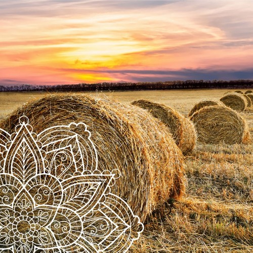 Stream episode Alejandro Chaoul's work is steeped in Tibetan Meditation ...