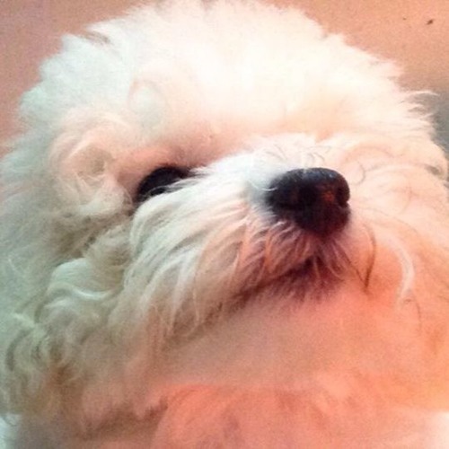 Stream con dien by Hạ. | Listen online for free on SoundCloud