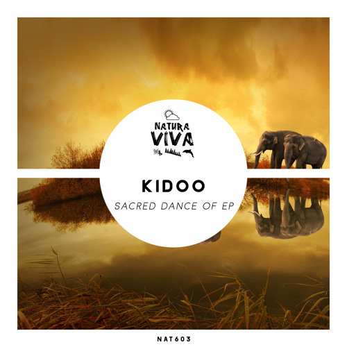 Stream Kidoo - Sharp (Original mix) by Natura Viva | Listen online for ...