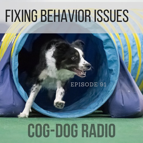 Stream Cathy Bremer Lombritto | Listen to cog dog 3 playlist online for ...