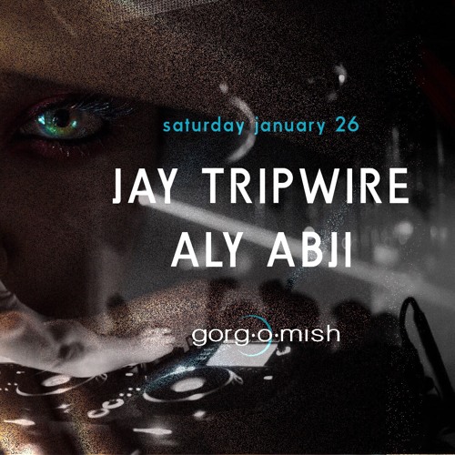 Stream Aly Abji LIVE @ Gorg-O-Mish (Jan 25th, 2019) by Shadowfigure ...