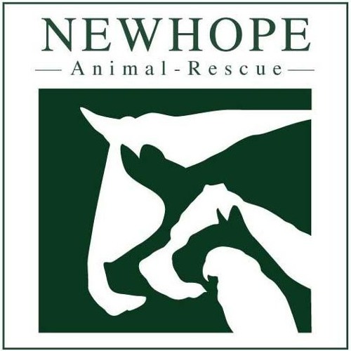 Stream Interview With New Hope Animal Rescue by Ria Carpenter | Listen ...