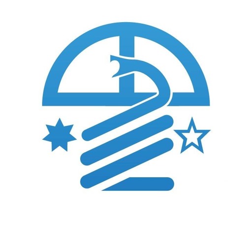 Stream episode ANZICS presents the experts: Prof. Rinaldo Bellomo by ...