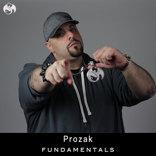 Stream Prozak | Listen to Prozak FUNDAMENTALS playlist online for free ...