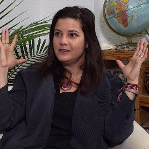 Stream episode #263 Maya Zuckerman - Thriving Futures by Simulation ...